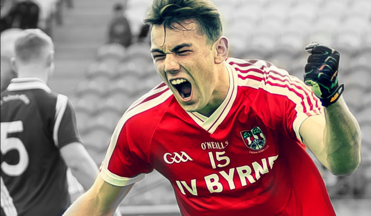 Edenderry GAA to launch strategic vision and action plan 2017-2022 ...