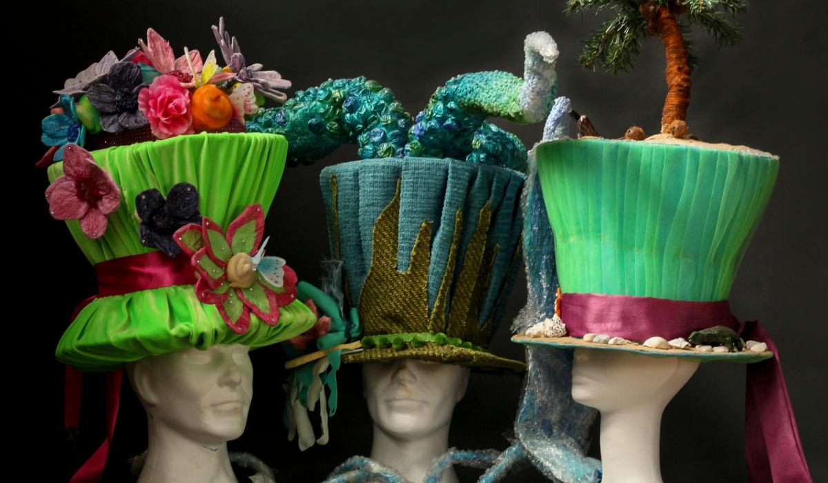 'A Head Full Of Dreams' – a head turning Exhibition in Áras an Chontae ...