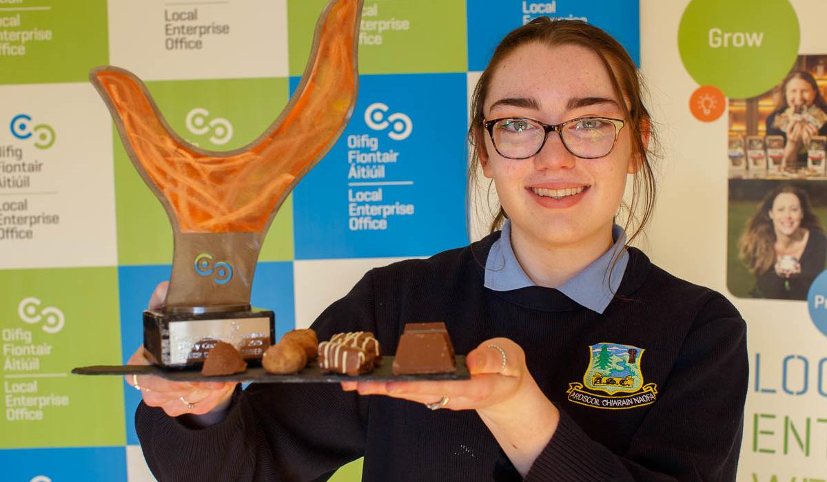 Offaly student to represent county at Student Enterprise National ...