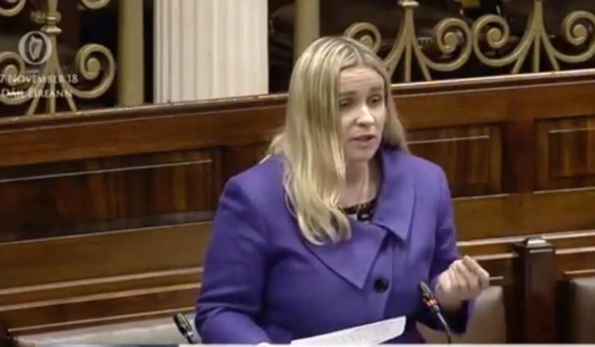 Offaly farmers concerned over tree felling application and licence ...