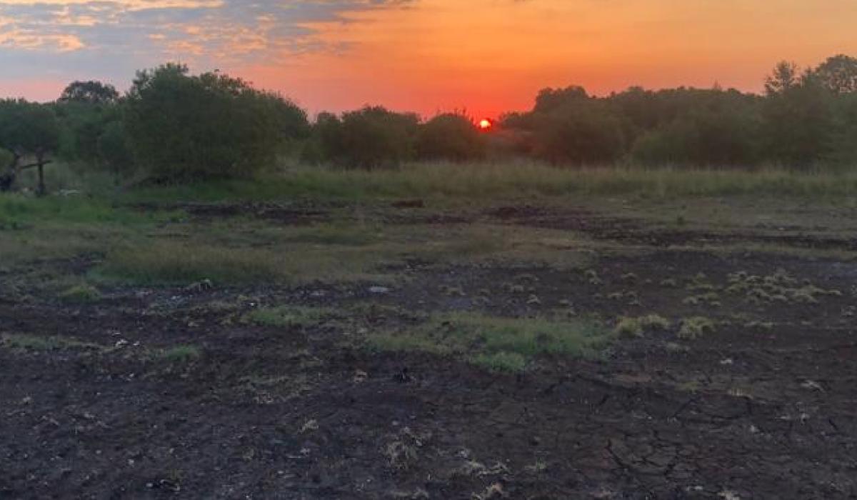 Opposition to historic Offaly bog development 'can't be ignored ...