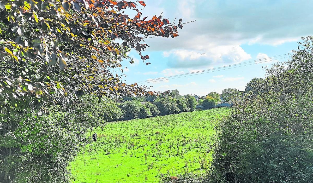 Frustration as masterplan for Rectory Field, Birr is still not ...