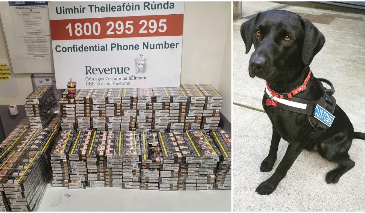 'Obi one, criminals nil' - Revenue detector dog uncovers huge haul of ...