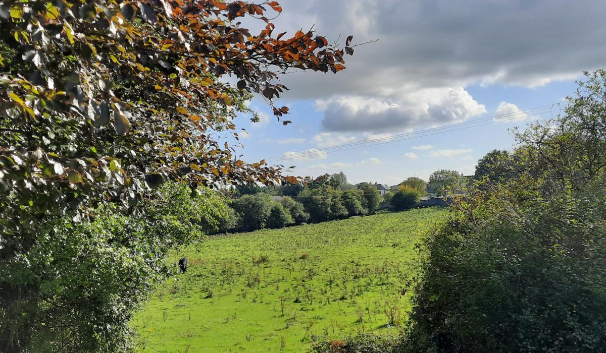 Important Local Area Plan to be displayed in Birr Library - Offaly Live