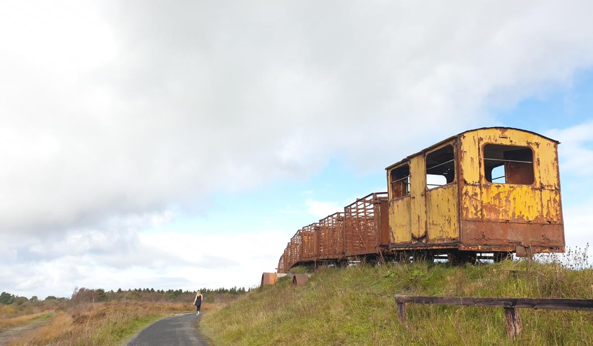 Offaly bogs lined up as part of major peatland restoration project ...