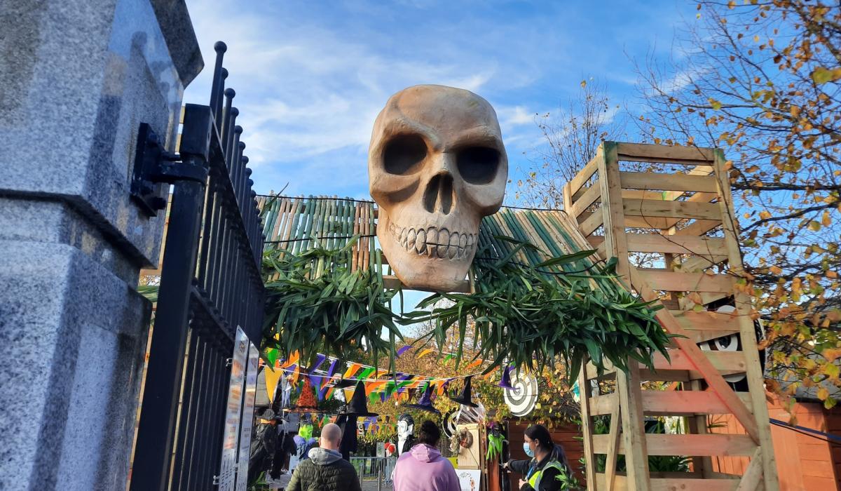 Halloween Spectacular Púca Spooka is underway in Offaly - Photo 1 of 5 ...