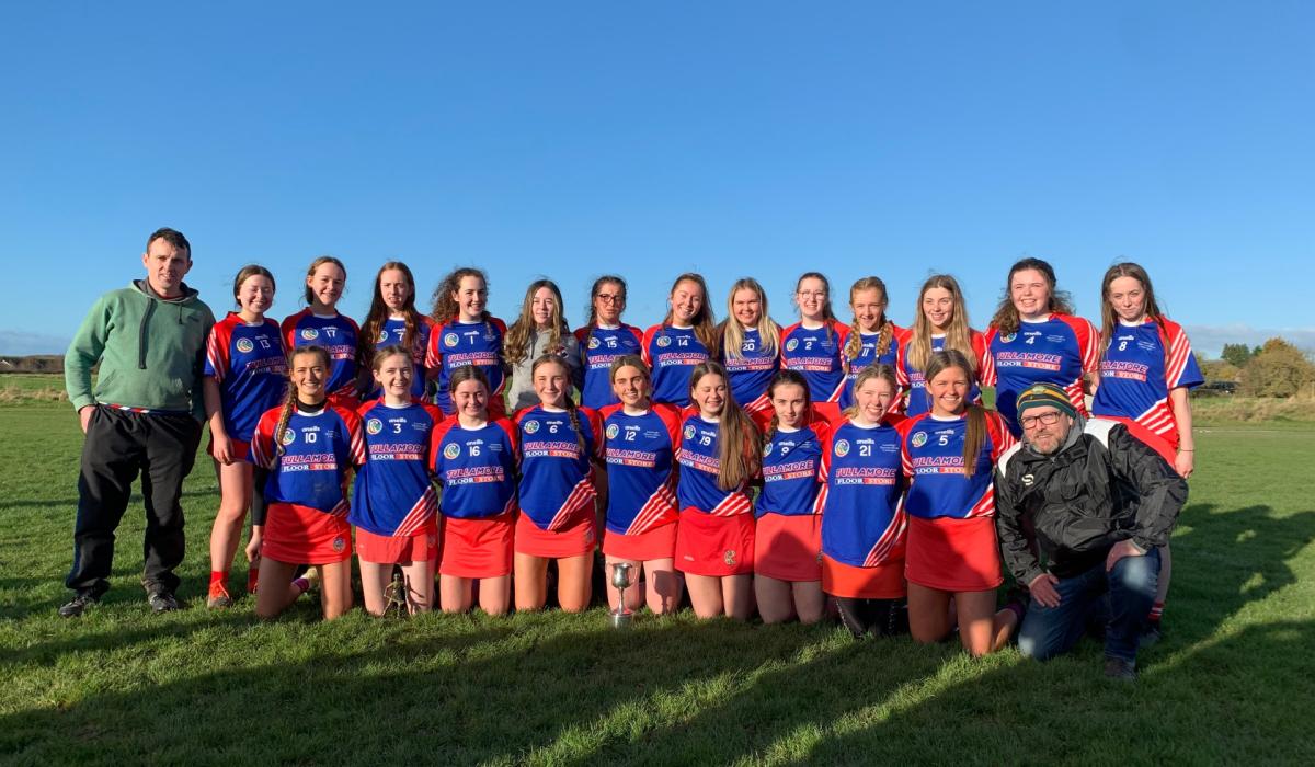 Lusmagh/Drumcullen too strong for St Cillian's - Offaly Live