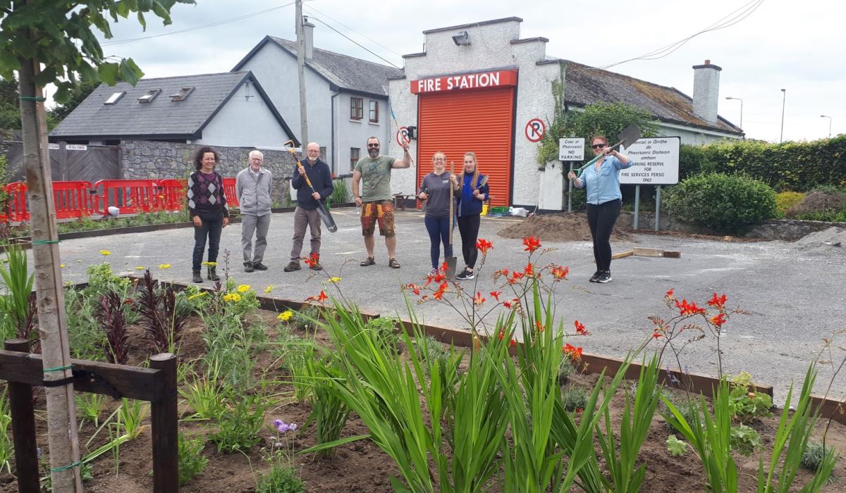 Ireland's first public Rain Garden created in Ferbane - Offaly Live