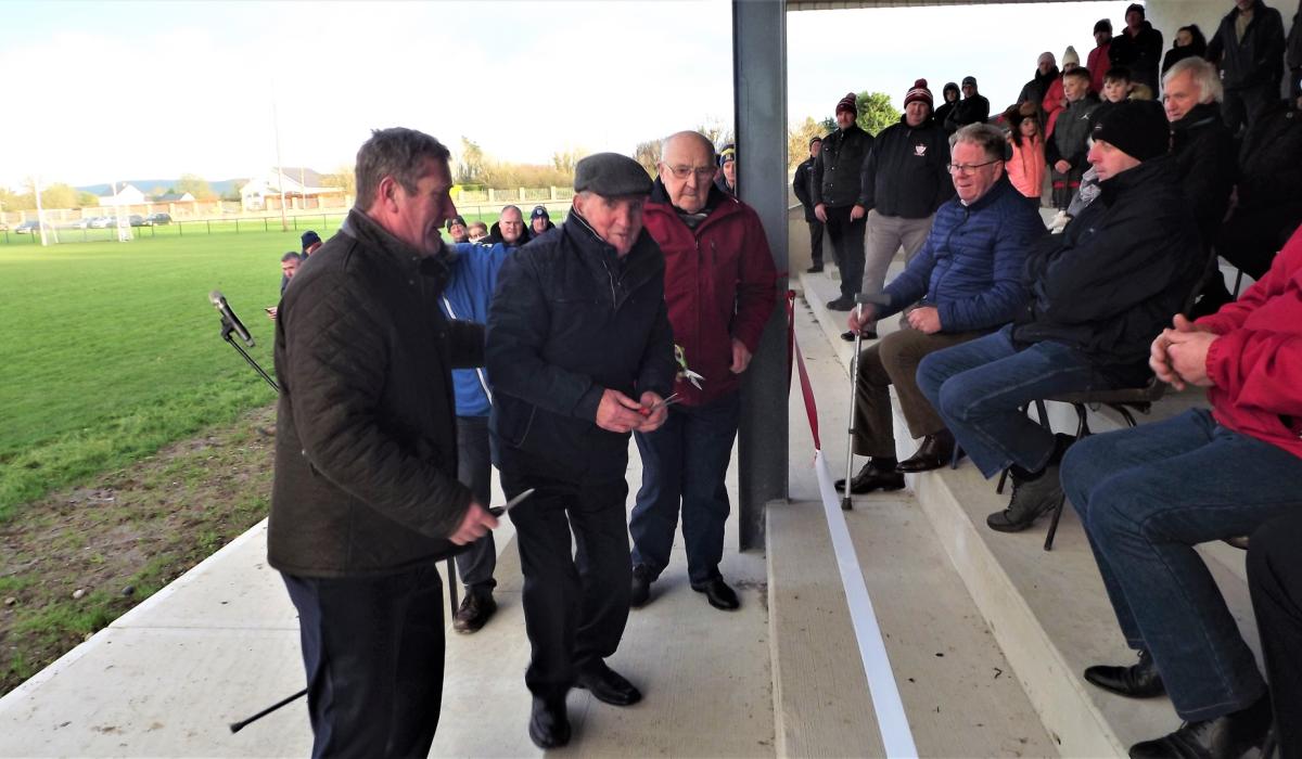 Roscrea Hurling Club opens new stand and honours men of 1971 - Offaly Live