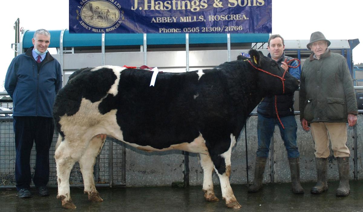 Central Auctions 58th Annual Fat Stock Show and Sale 2022 - Offaly Live