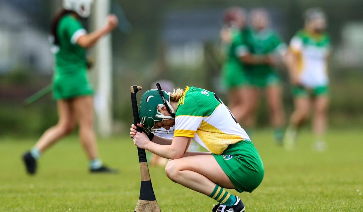 Gutted Offaly pipped by Limerick - Offaly Live