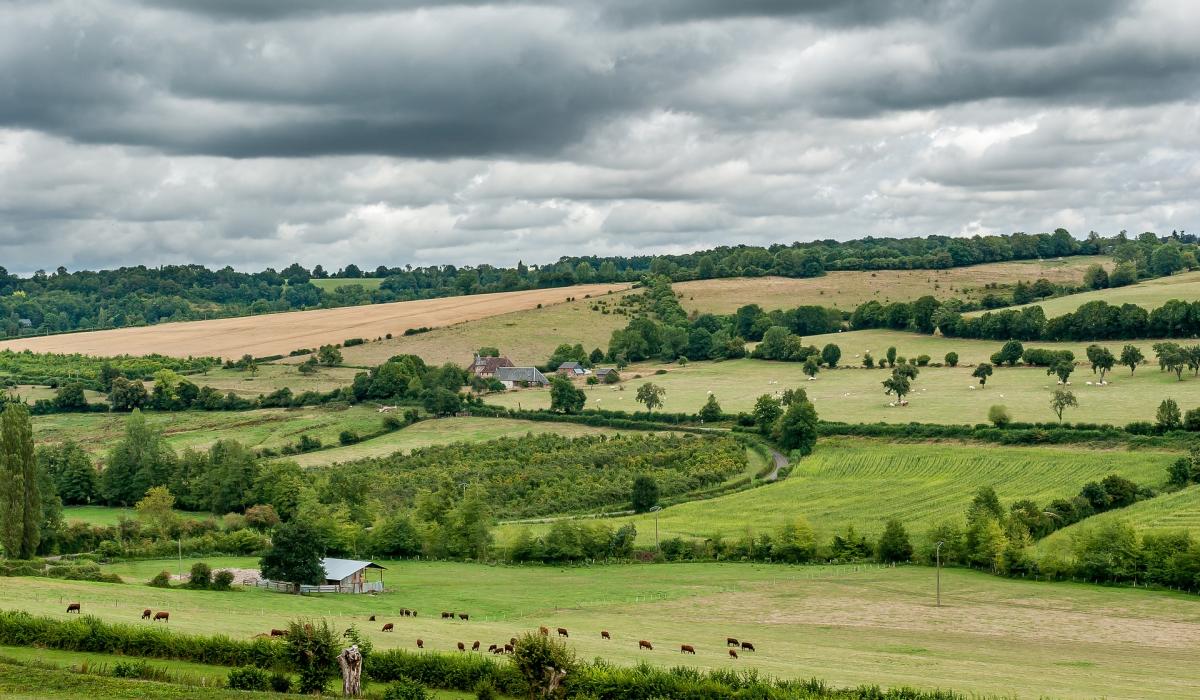 Tipperary people encouraged to air views on Water Quality at public ...