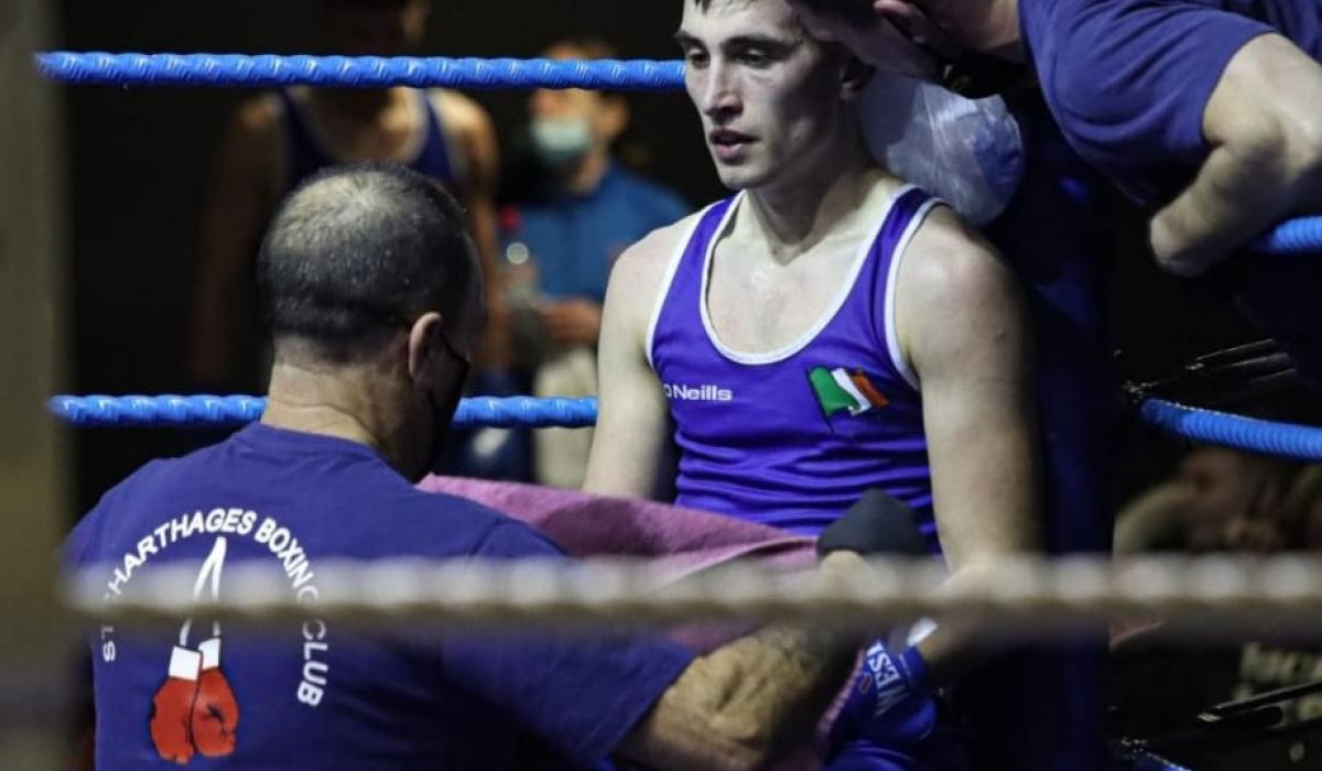 Bronze for Pullough boxer at European U-22 Championships - Offaly Live