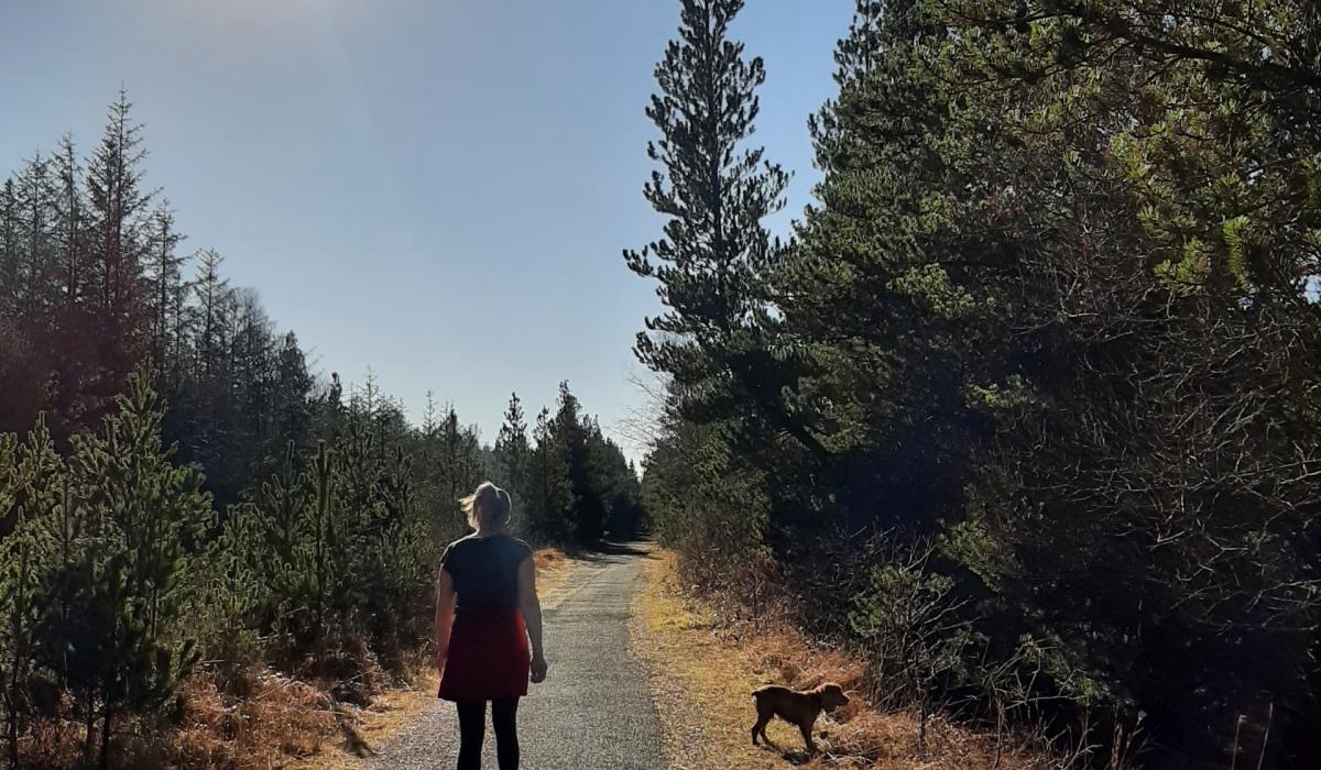 New 10km track among Offaly bog projects given funding boost - Offaly Live
