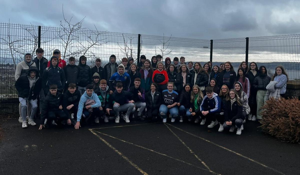 Transition Year students enjoying a wide range of activities - Offaly Live