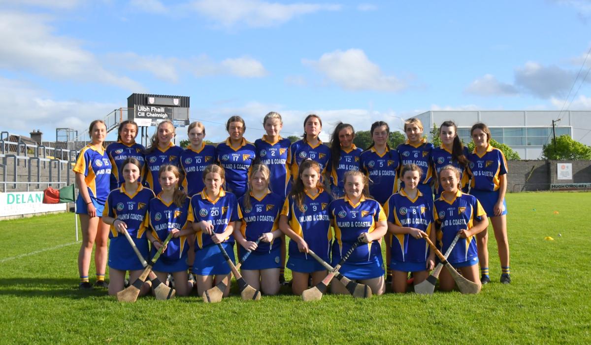 St Rynagh's too strong for Shinrone - Offaly Live