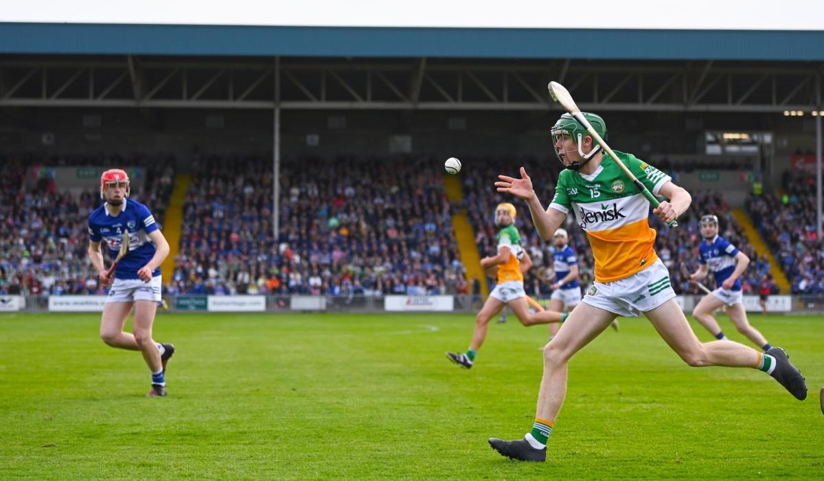 Top award for Screeney as four Offaly players make national minor ...