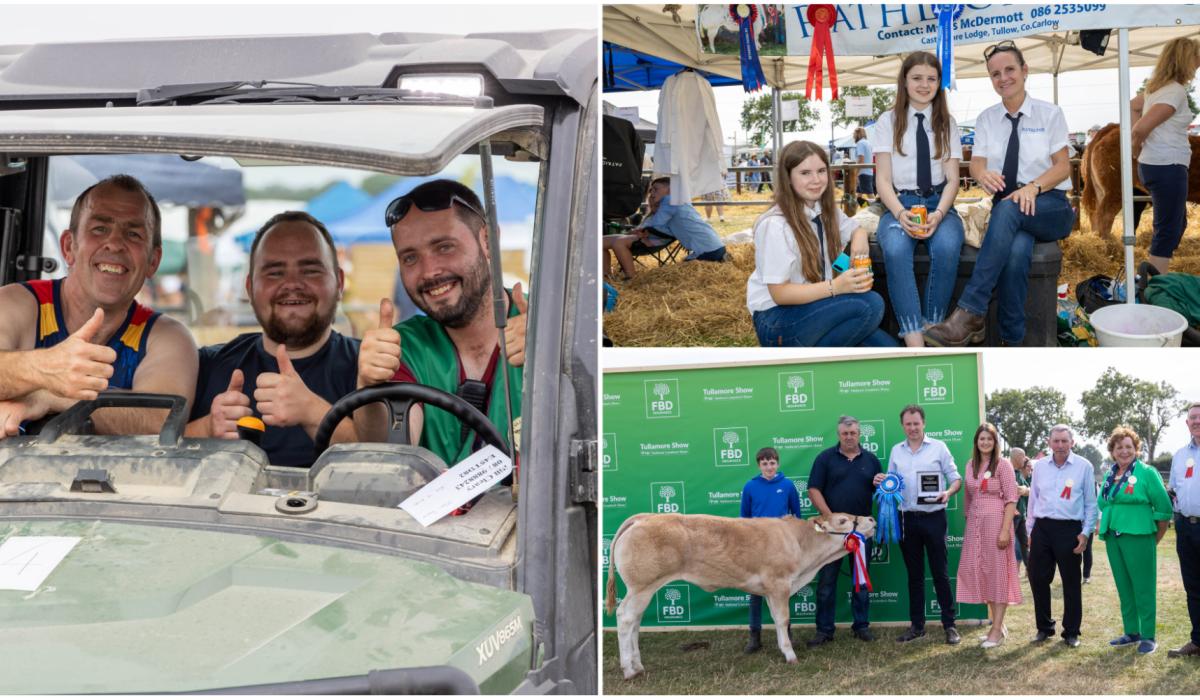 IN PICTURES: Big turnout as Tullamore Show returns after two year wait ...