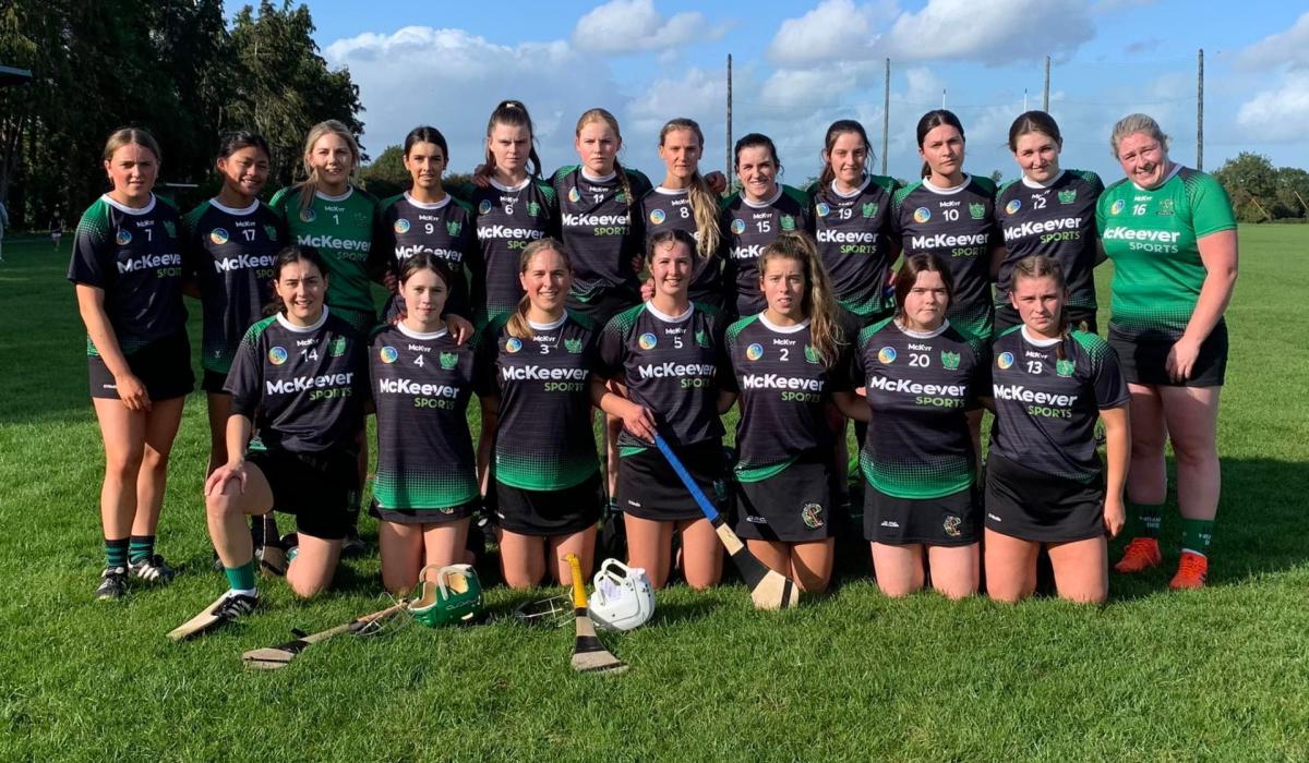 Goals decisive as Naomh Brid advance to Senior B Camogie Final - Offaly ...