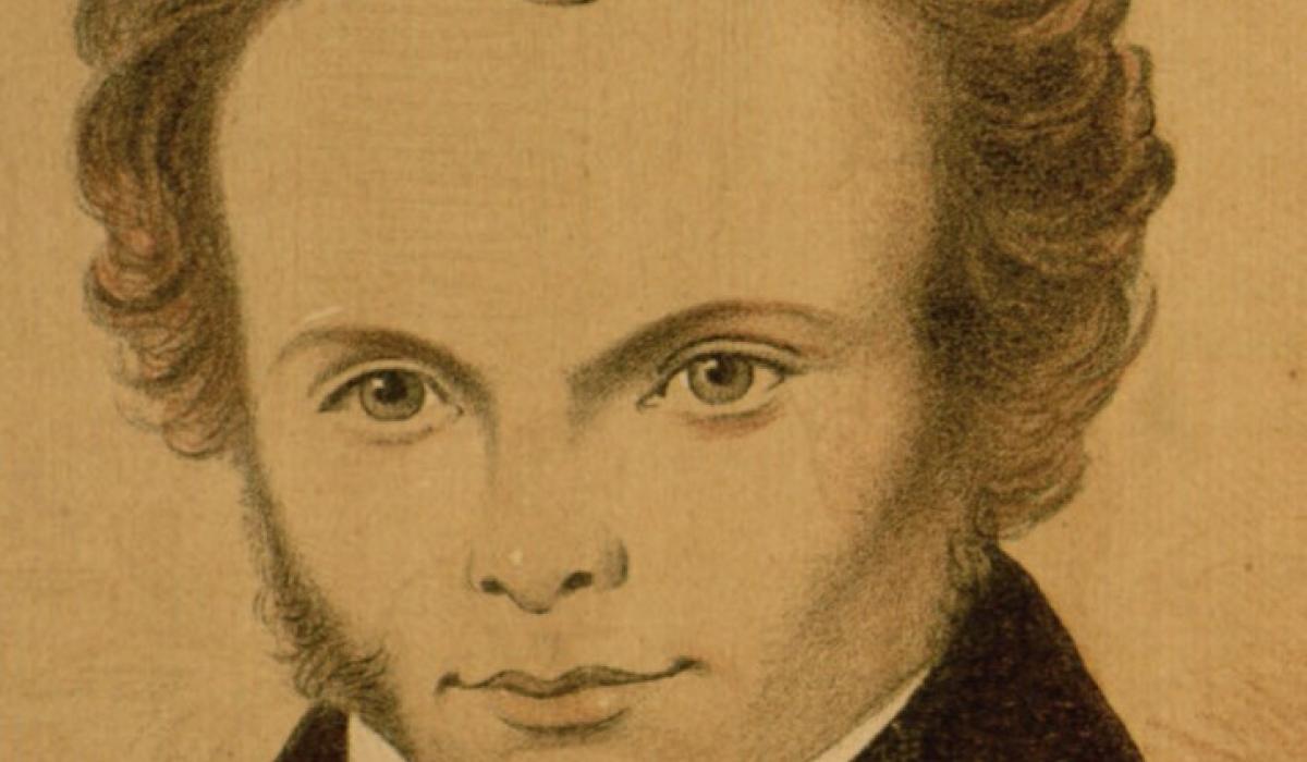 Magnificent book to be launched in Birr Library - Offaly Live