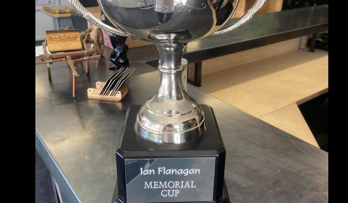 New Zealand hurling trophy named in memory of late Offaly man - Offaly Live