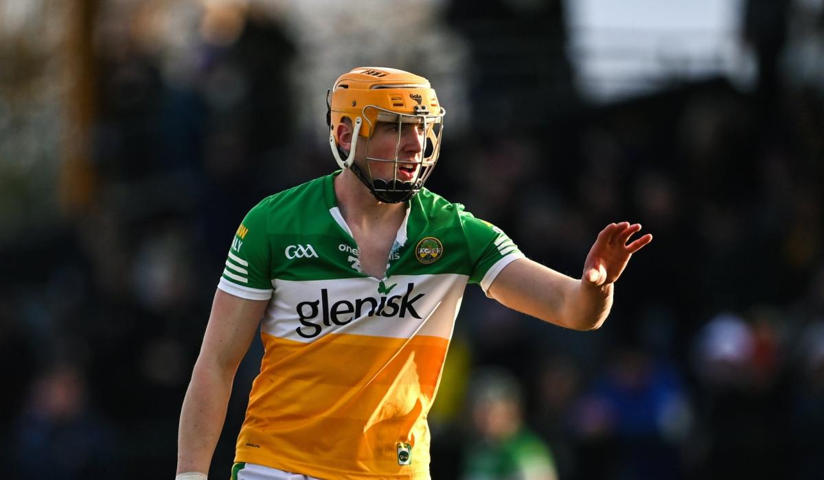 Encouraging defeat gives Offaly an early season platform to build on ...