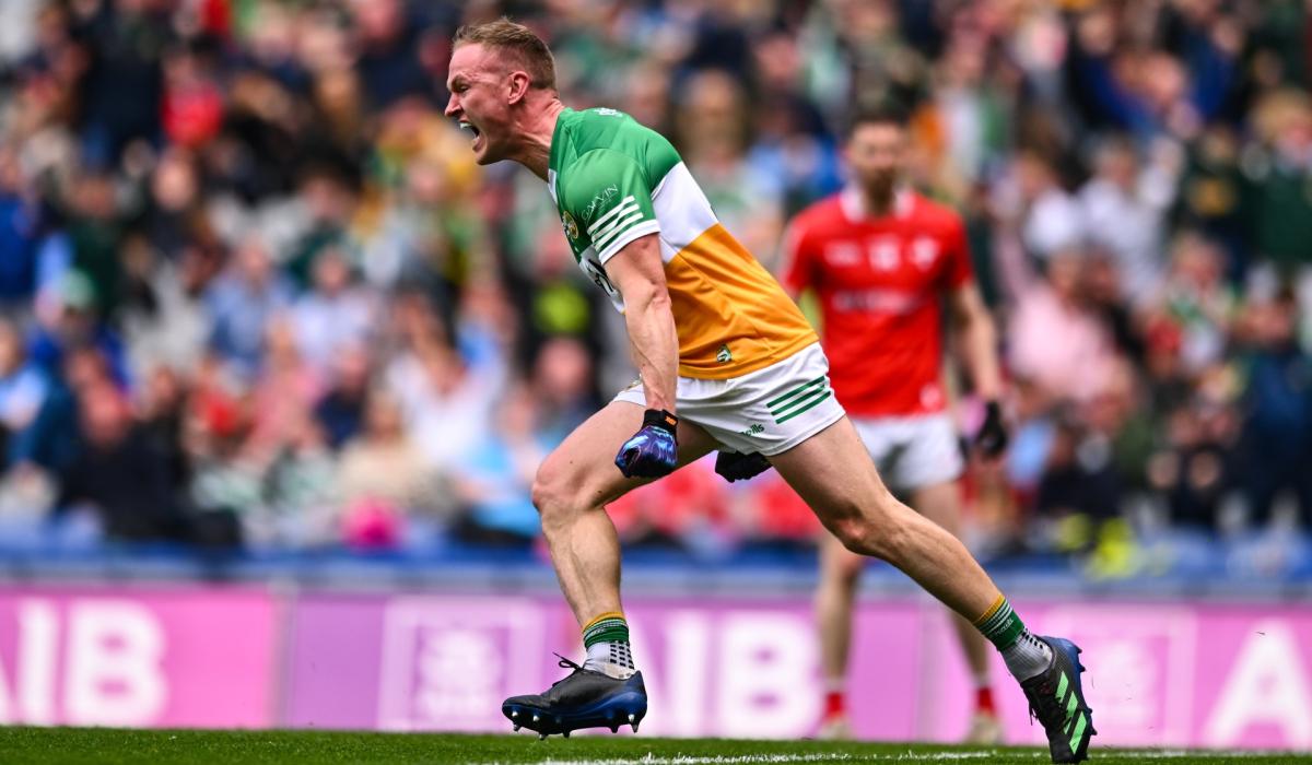 Extra time a bridge too far as brave Offaly bow out with heads held sky ...