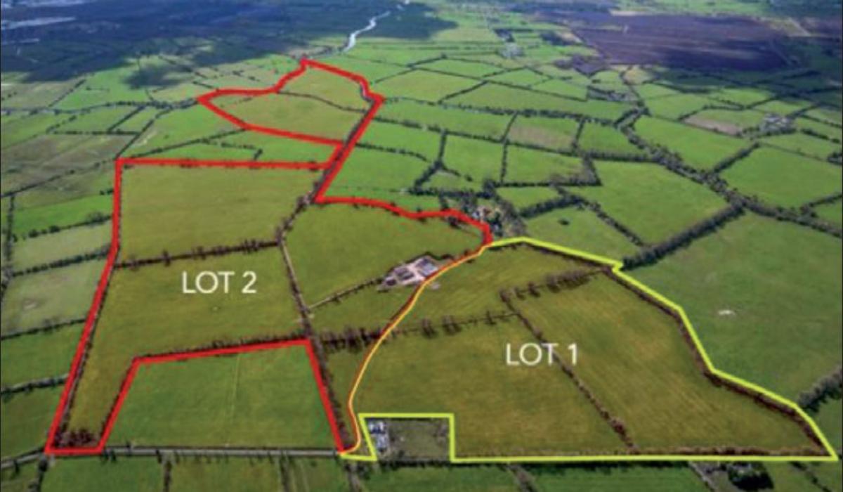 Two large lots of prime farm land in Offaly going up for auction next ...