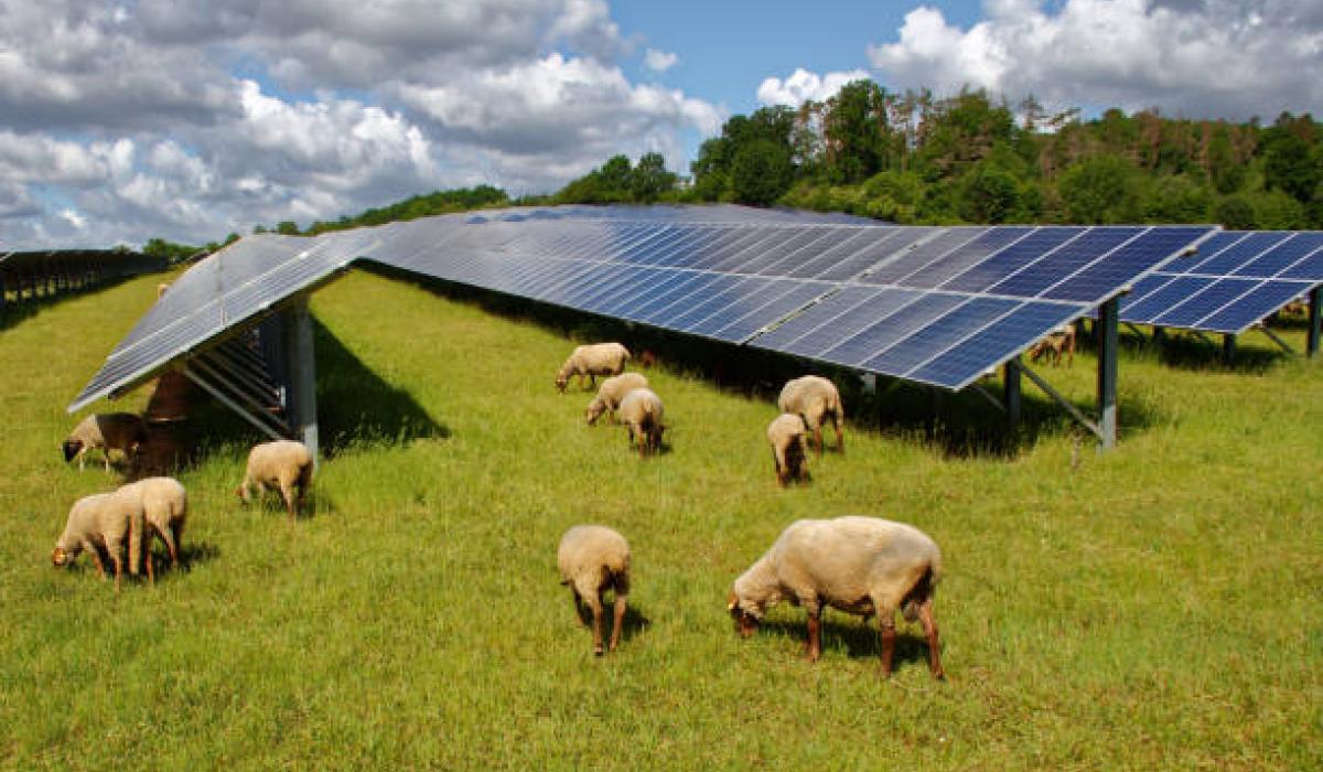 Major solar farm and battery storage development planned for Offaly ...
