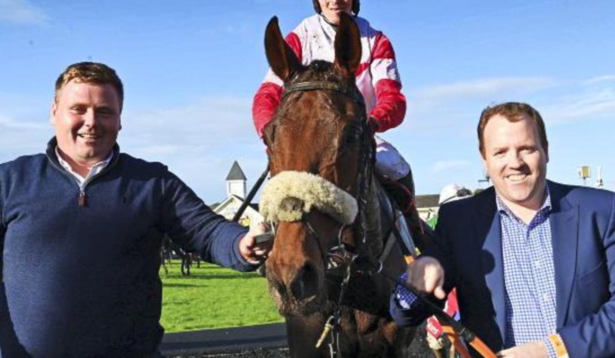 Tragic news for Offaly owned horse - Offaly Live