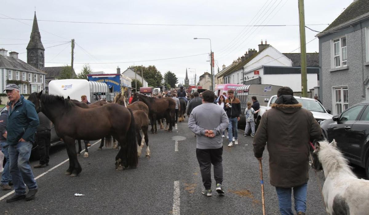 Massive crowds turn out for hugely successful Banagher Horse Fair ...