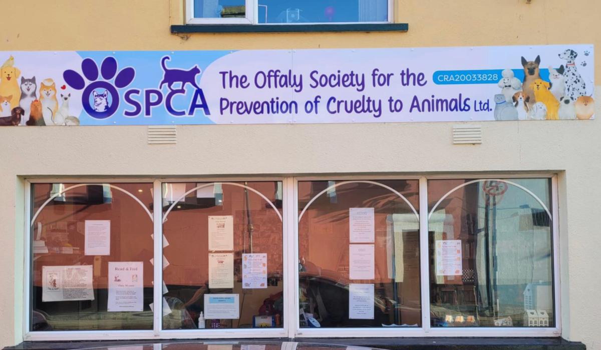 Offaly SPCA draws up closure plans amid volunteer shortage - Offaly Live