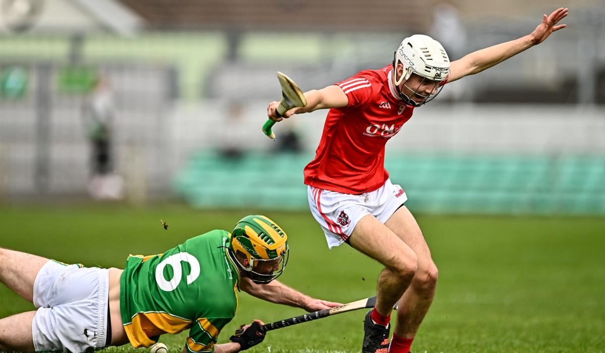 PREVIEW: How Kilcormac-Killoughey and Shinrone reached the Offaly SHC ...