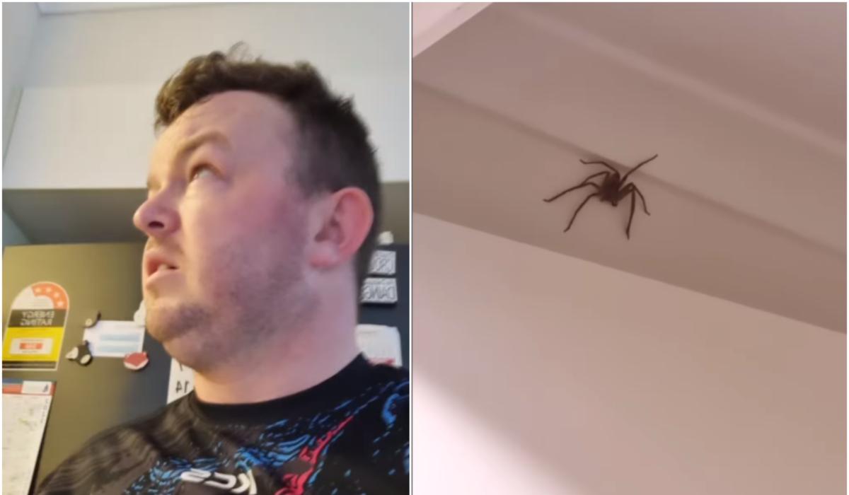 WATCH: 'Ah lads' - Offaly's Digger Dad has hilarious second run-in with ...