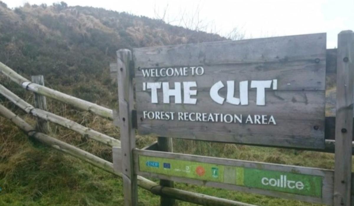 'Easy to miss' - Signpost in the Slieve Bloom that went viral has been ...