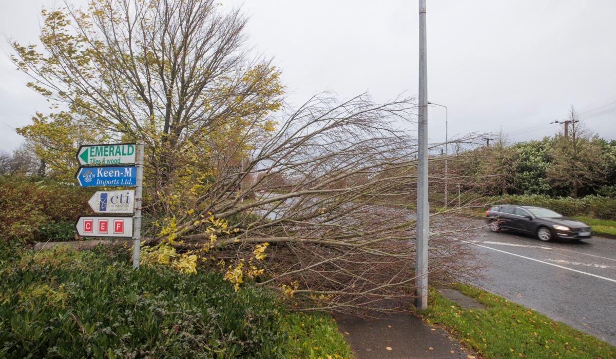 In Pictures: Storm Debi causes havoc and damage across Ireland - Page 1 ...