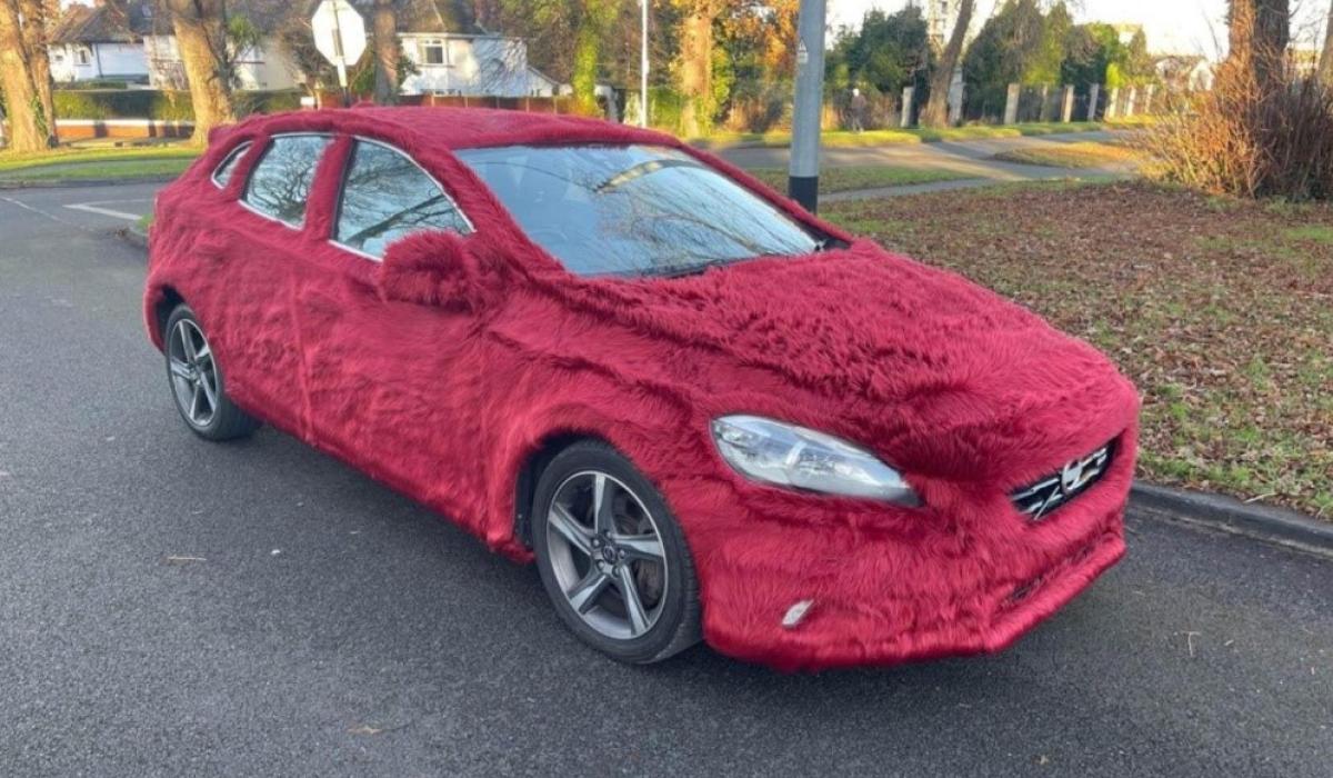 PICTURES: Unusual fluffy car 'fur' sale in Ireland sparks hilarious ...