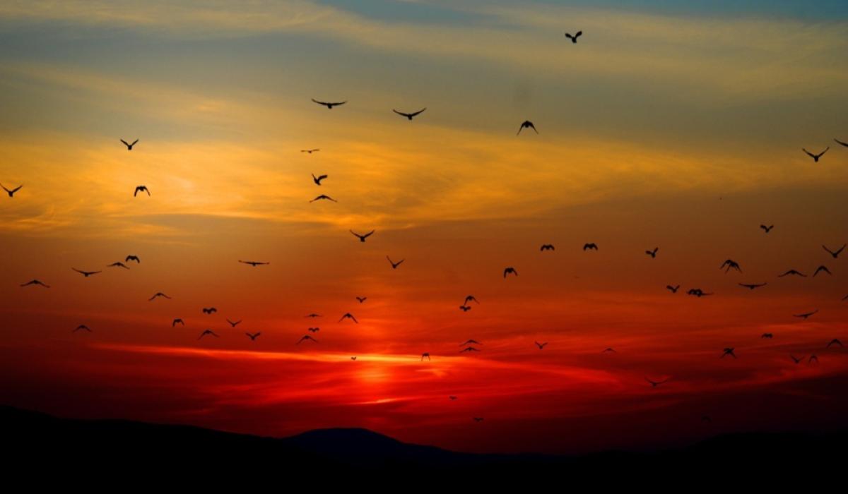 Longer days ahead as sunset stretches to 5:45pm in places - Offaly Live