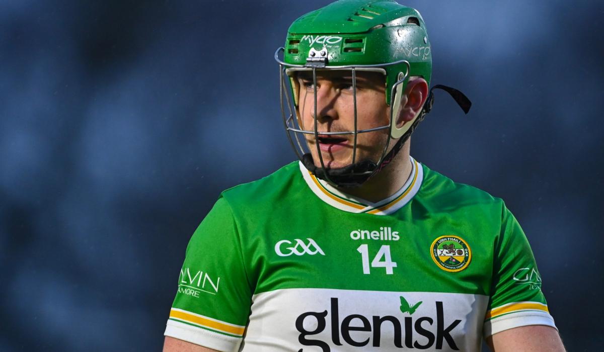 It's in the blood! Offaly hurling star Brian Duignan named on Allianz ...