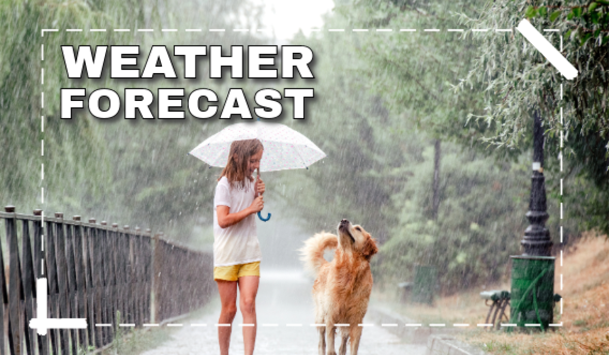 Met Eireann weather forecast for tomorrow as five counties under ...