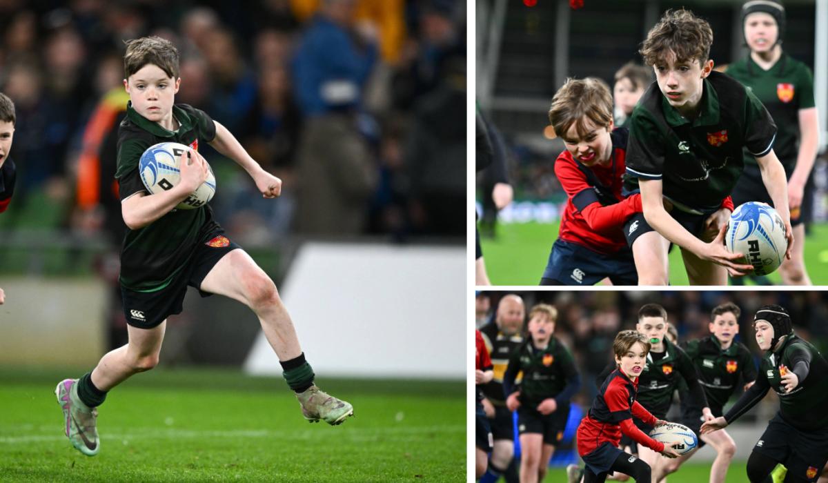 PICTURE SPECIAL: Young Offaly rugby stars play in front of 40,000 in ...