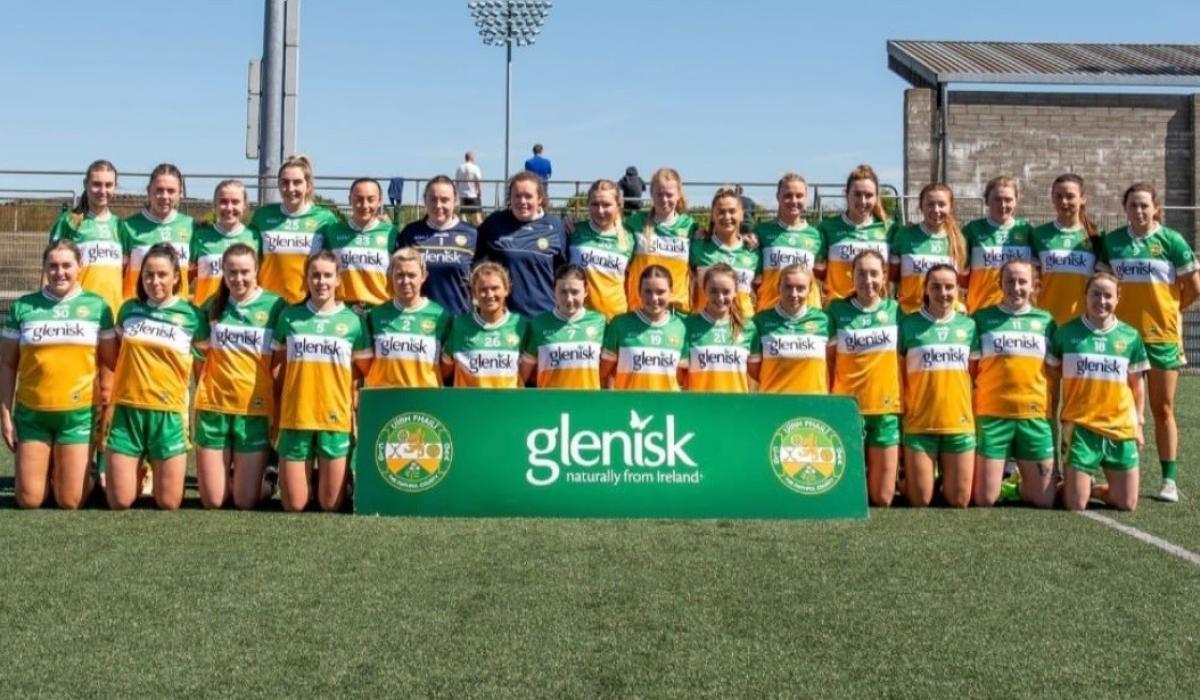 Offaly denied deserved victory by last gasp Westmeath point - Offaly Live