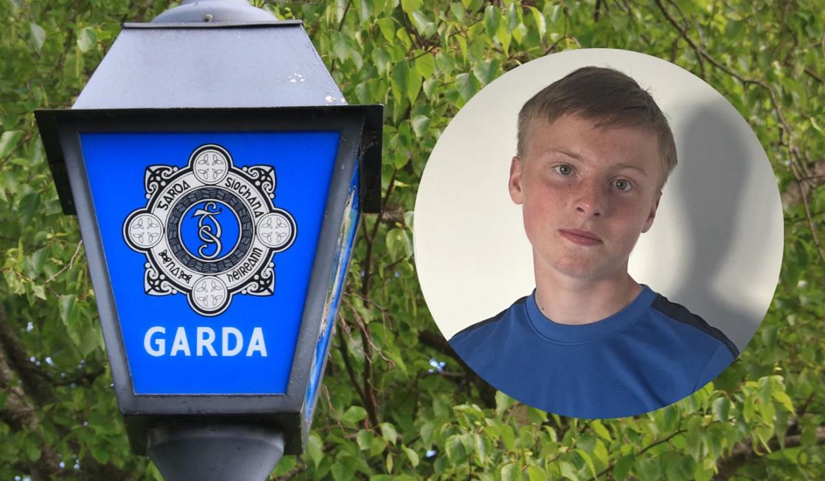 Missing person - Gardaí issue appeal over teenage boy missing in the Midlands - Offaly Live
