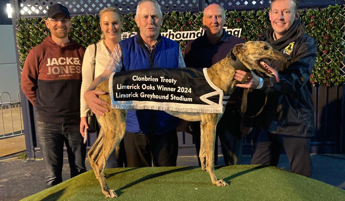 Gone to the dogs: Great win for Rhode owner - Offaly Live