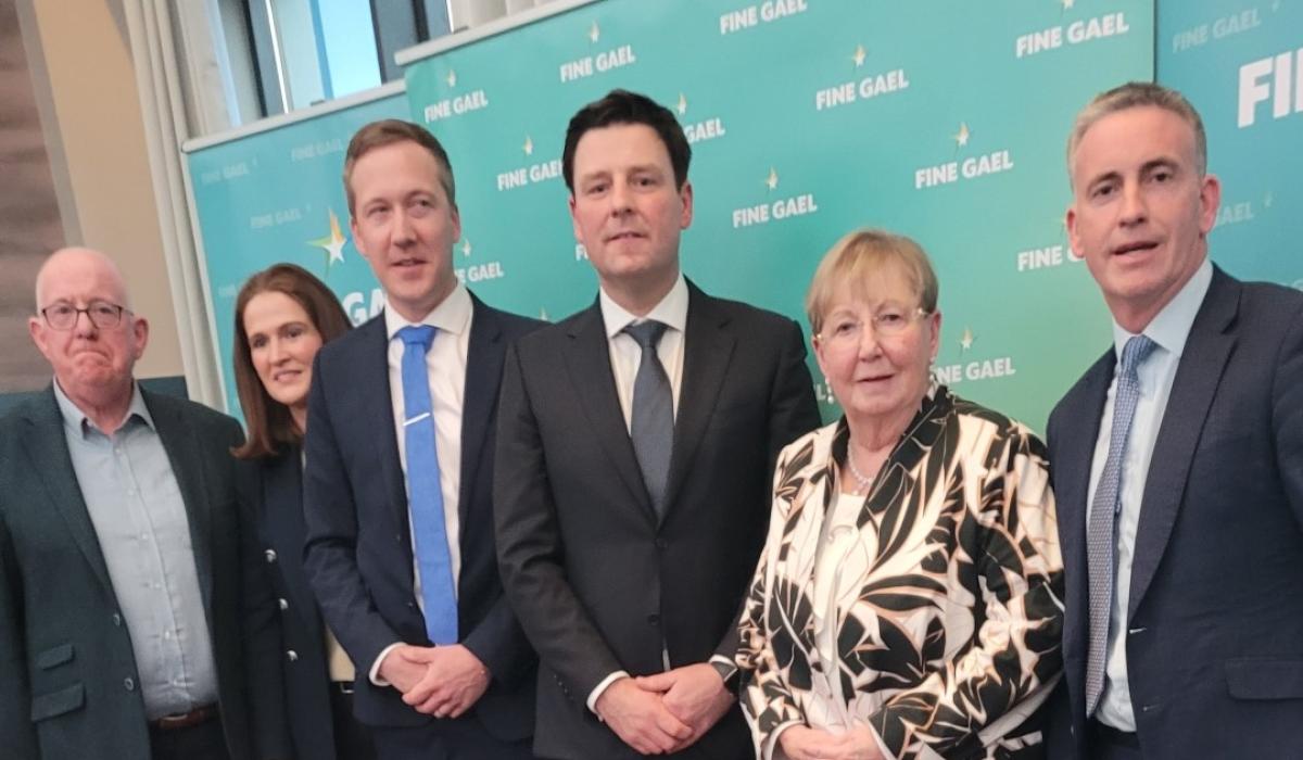 Two replacement councillors must be found on Offaly County Council for newly elected TDs ...