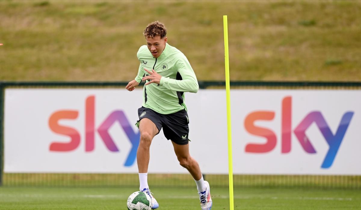 Premier League midfielder who will play for Republic of Ireland ...