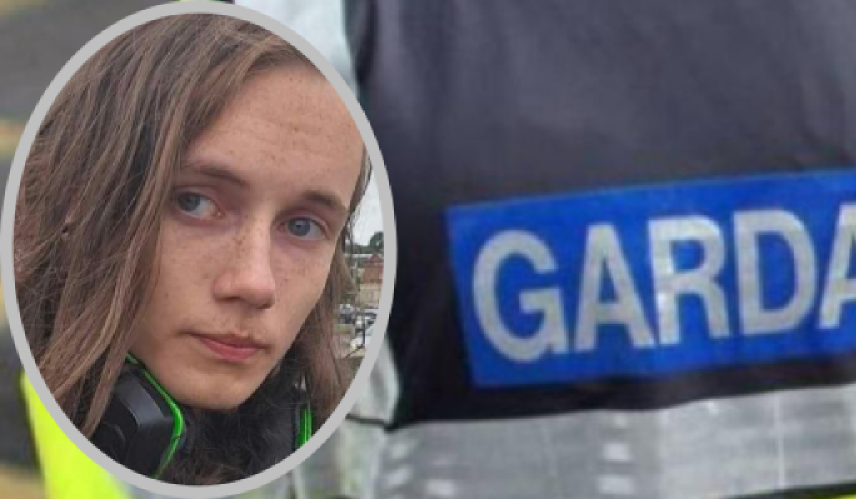Have you seen Ethan? Gardaí appeal for help in locating missing teenager - Offaly Live