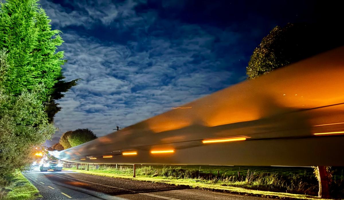 What is it? Offaly people baffled by sighting on the roads in dead of ...