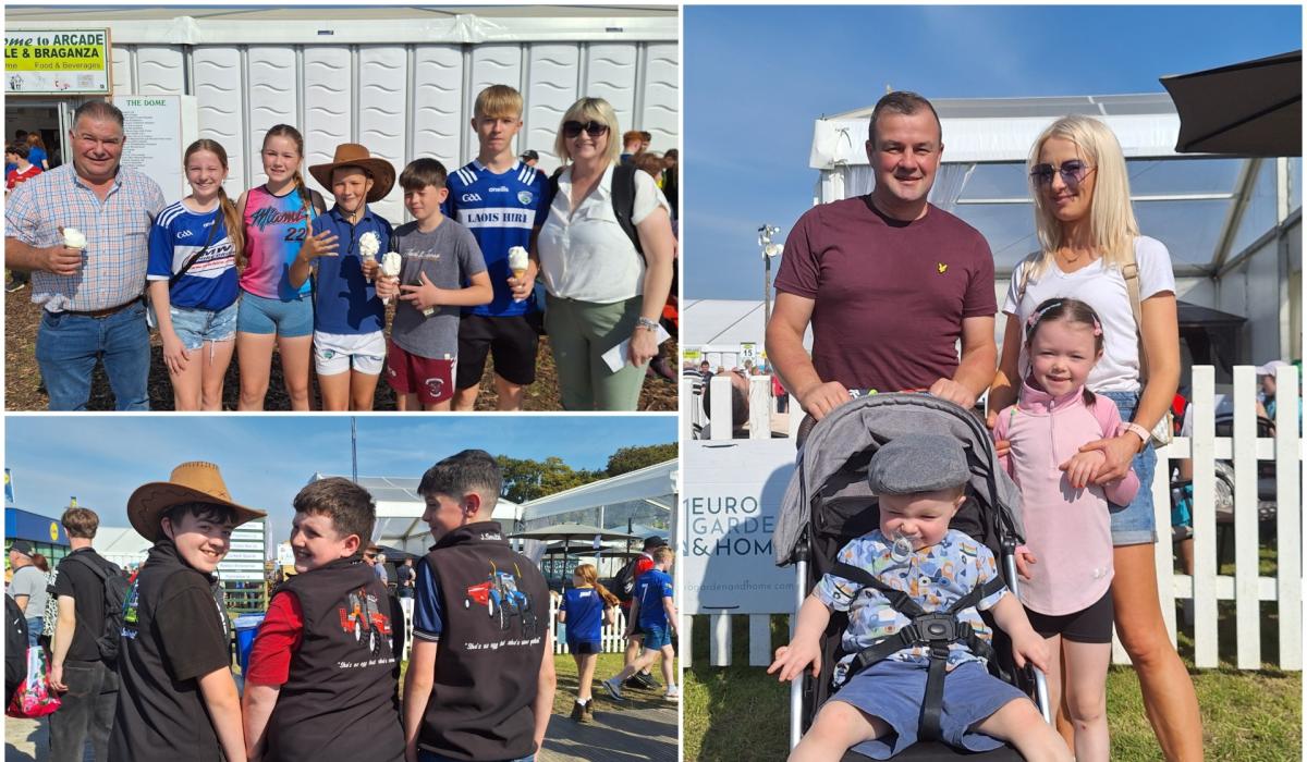 PICTURES: Can you spot the Offaly faces out enjoying the last day of ...