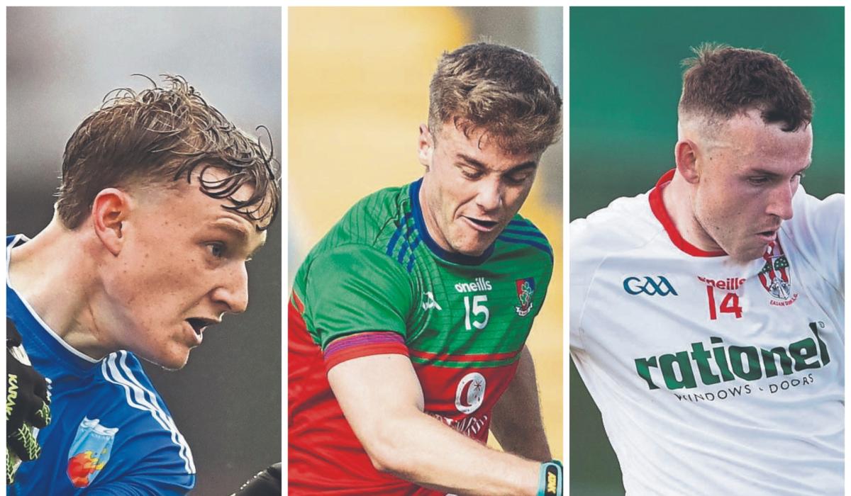 PICTURES: Introducing our 2024 Offaly Senior Football Championship team ...